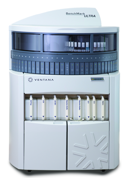 Histologie - BISCEm Biologie Intégrative Santé Chimie Environnement