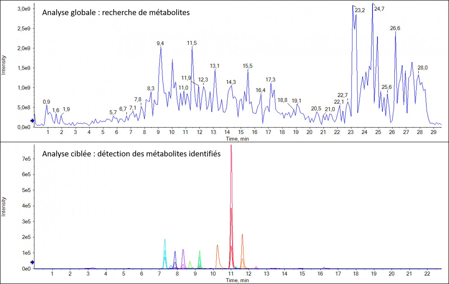Spectrométrie de masse - BISCEm Biologie Intégrative Santé Chimie ...
