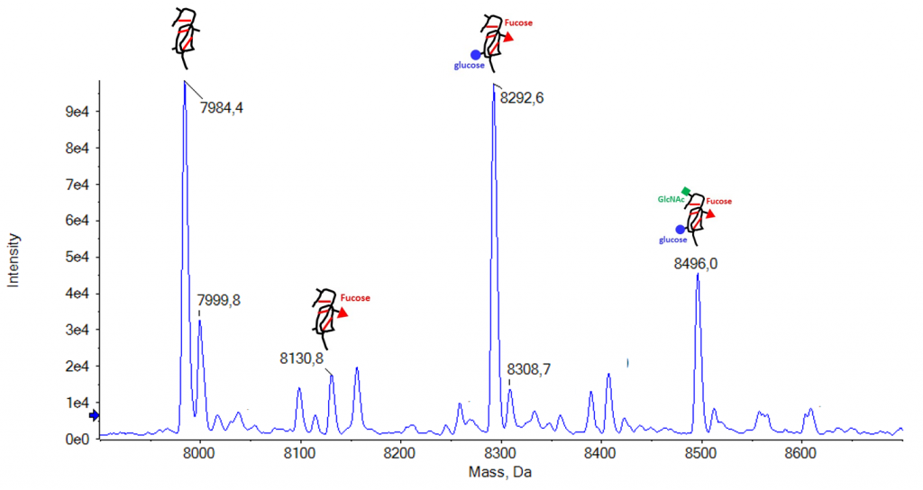 Spectrométrie de masse - BISCEm Biologie Intégrative Santé Chimie ...