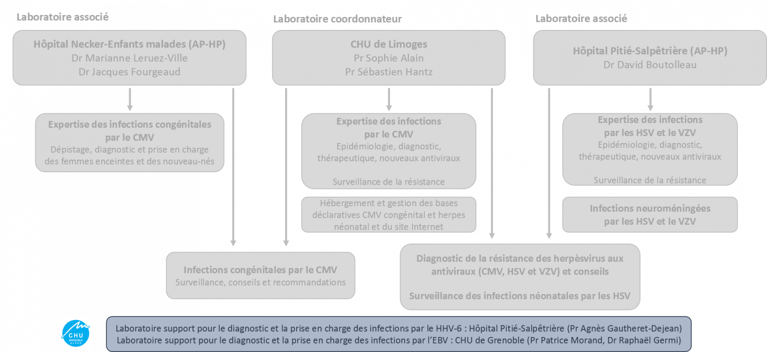 Laboratoire support: CHU de Grenoble - Centre National de Référence des ...