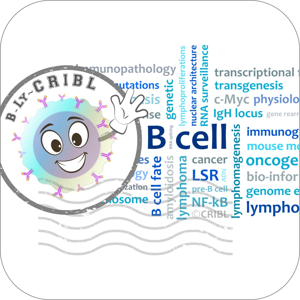 CSReport : Search, identification and quantification of CSR junctions ...