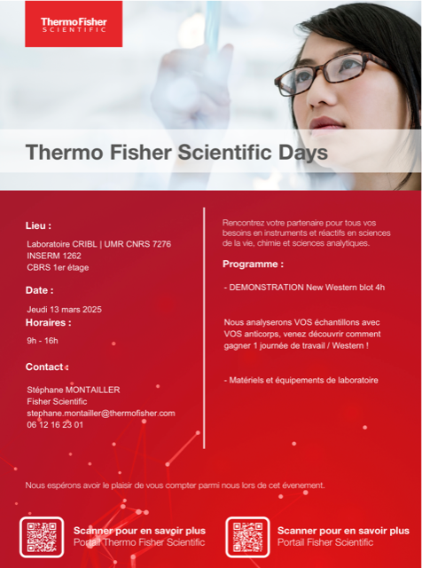 Thermo Fisher Scientific Days : worflow western-blot - CRIBL - Contrôle ...