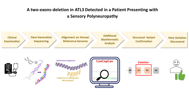 Article suite à l'identification d'une grande délétion dans le gène ...