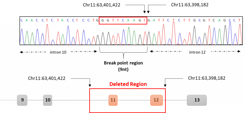 Article suite à l'identification d'une grande délétion dans le gène ...