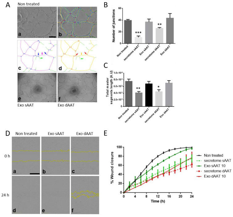 Article sur la caractérisation des cellules stromales isolées de deux ...