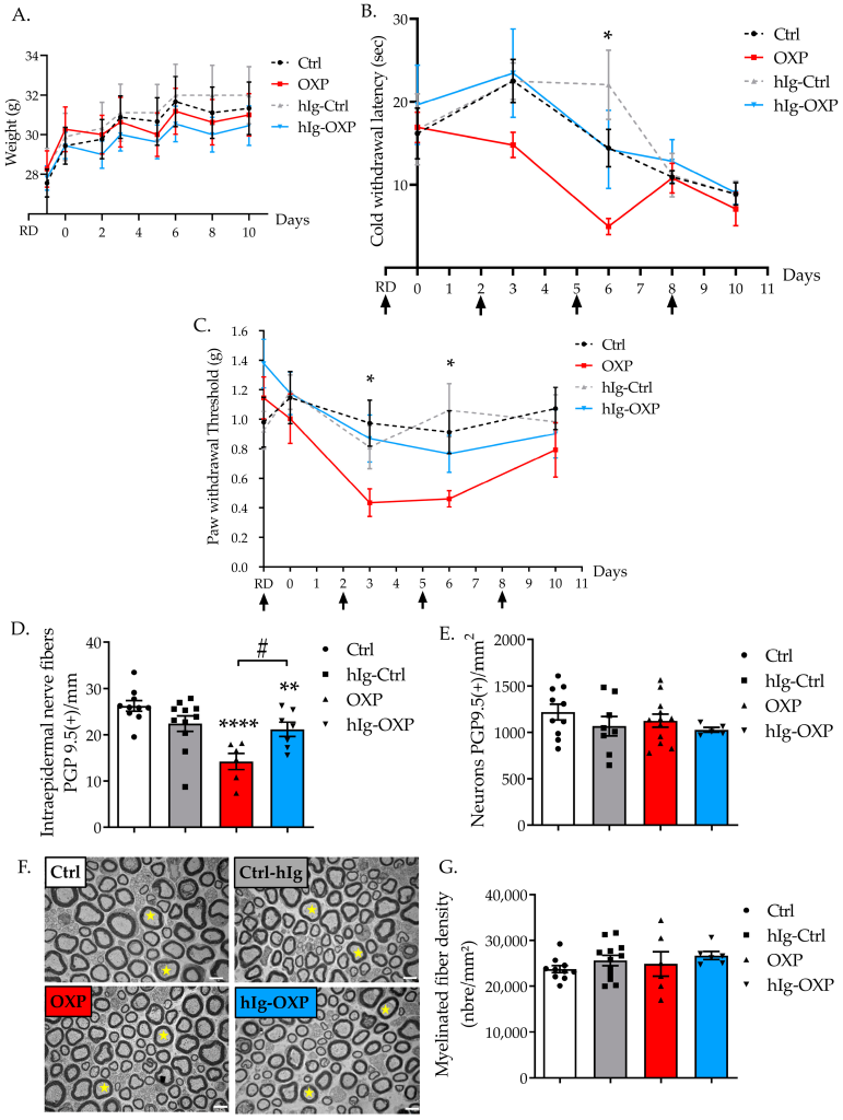 Article sur l'effet neuroprotecteur des immunoglobulines polyvalentes ...