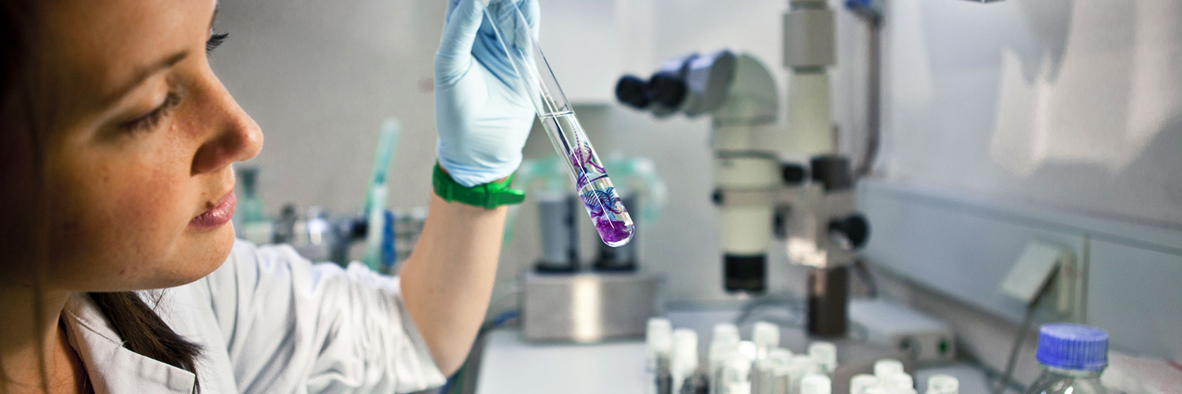 Chateaubriand fellowship | American PhD students, join the laboratories ...